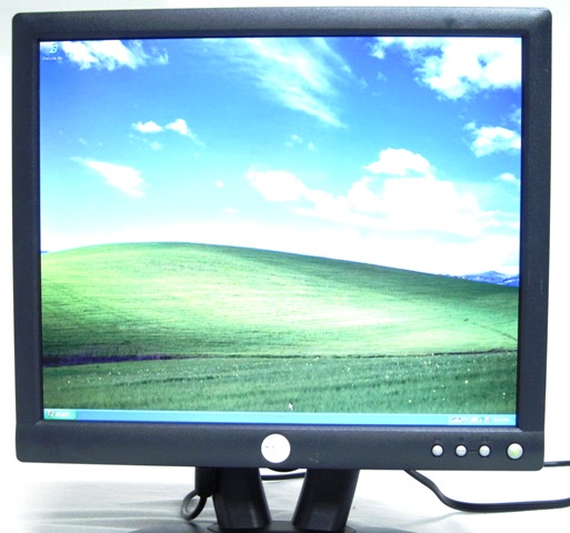 E173FPF | Dell 17" E173fpf Store Display Monitor