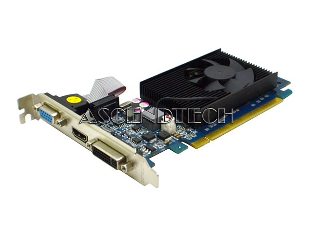 GFX-N3A1-01FMS1 | Sparkle Geforce Gt 610 1.8Gb Vc